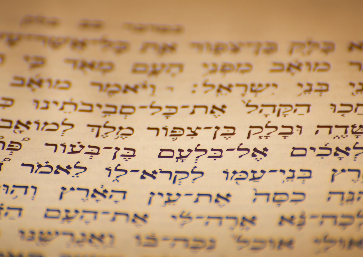 One Year On: Helping Jewish Educators Prepare for the Upcoming Holiday ...